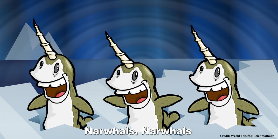 Narwhals, Narwhals, Swimming in the...Smithsonian? | Smithsonian Voices | National Museum of ...